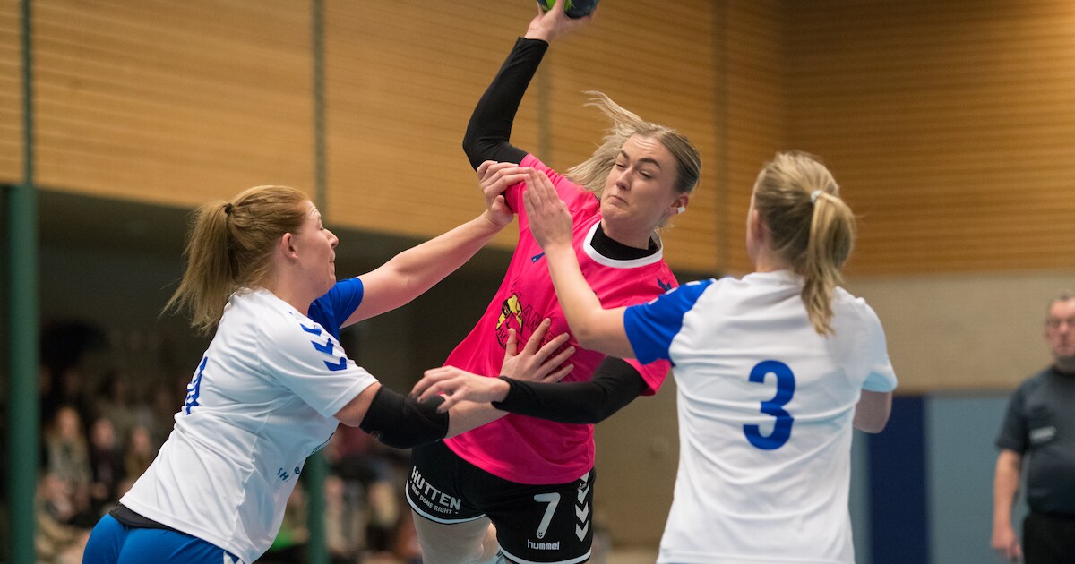 Handbalsters Nieuw Heeten en Lettele gaan met dezelfde trainers verder ...