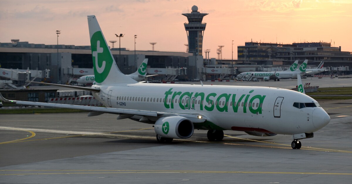 Reisbranche wil oplossingen na nieuwe Transavia-problemen: ‘Wanneer houdt het op?’ | Binnenland ...