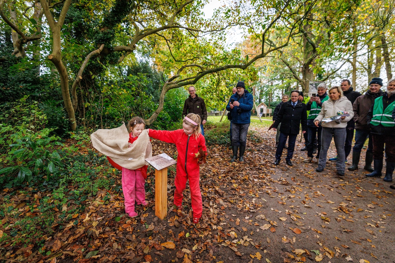 Monumentale magnolia en bijzondere boomsoorten: dit park in Hasselt ...
