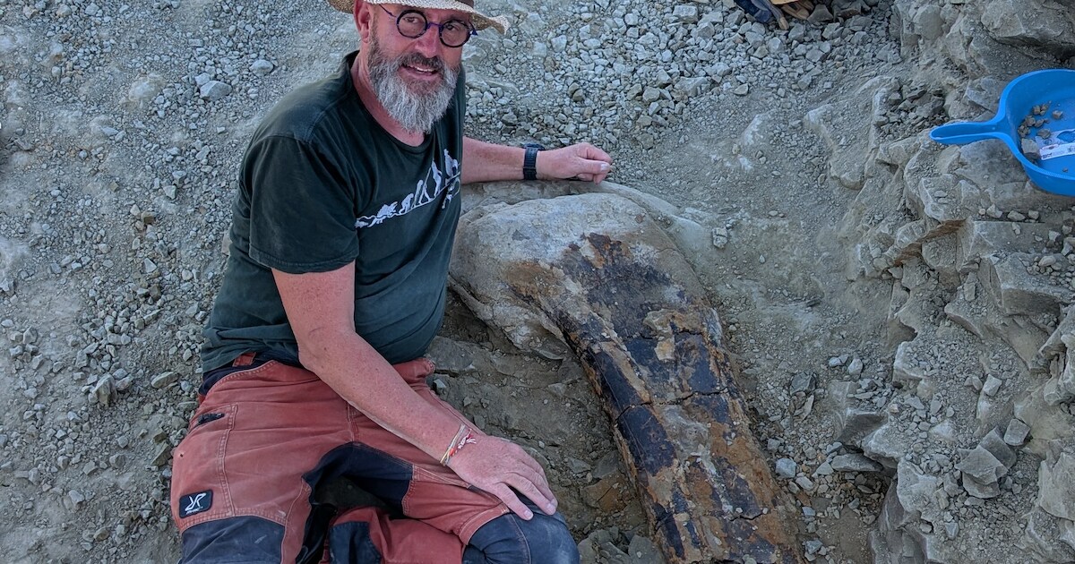 Herman uit Aalten vindt dinobot van meer dan een meter | Berkelland ...