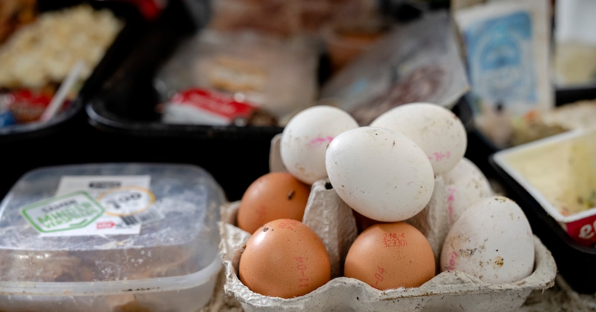 Voedingscentrum onderzoekt ons afval: ‘Ze gooien zelfs dure chocolade ...