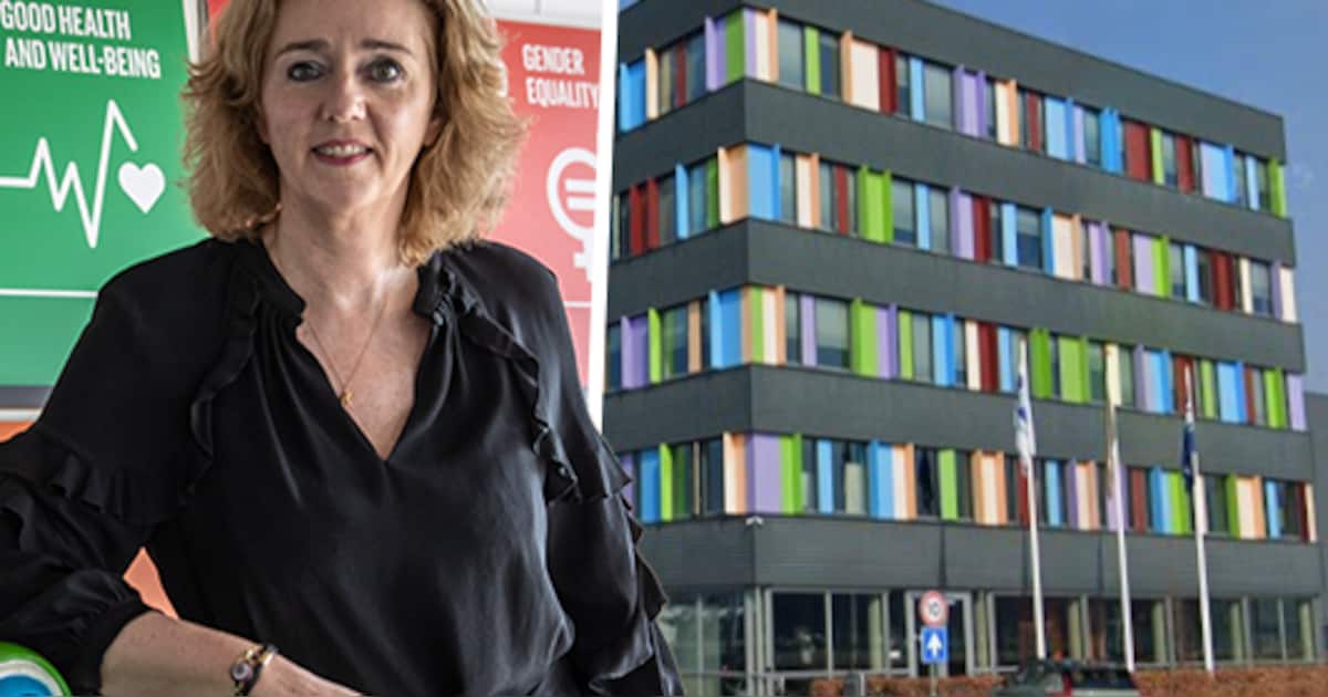 Directeur Van Wijhe Verf over gedwongen ontslagen: ‘Vreselijk besluit ...