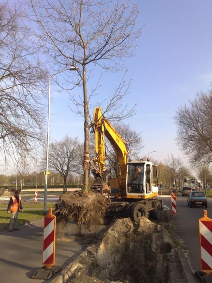 Bomen onderweg | Harderwijk | destentor.nl
