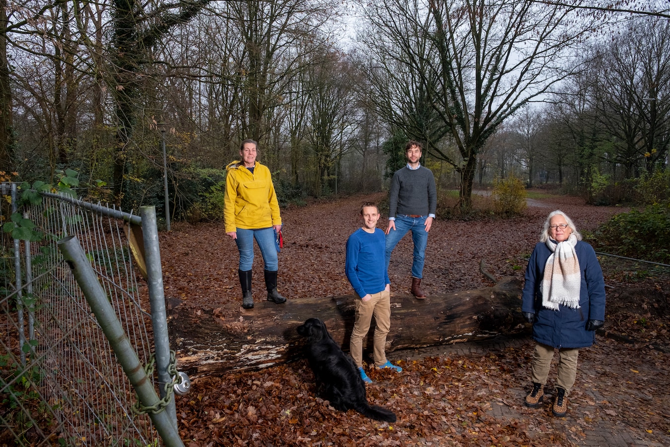 Hattem hunkert naar de herinneringen aan oude buitenbad De Watermulder ...