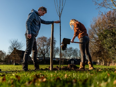 Gemeente Voorst versterkt biodiversiteit met plantproject | Voorst | De ...