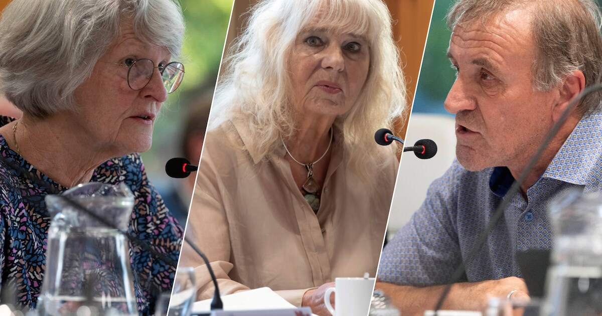 Lokale politiek wil kleiner azc in Brummen, maar hoe moet dat er ...