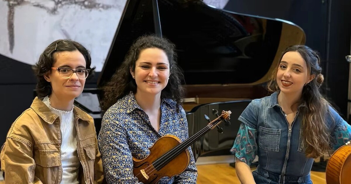 Melifluo Trio opent het zomerconcertseizoen in Lochem | Lochem | De ...