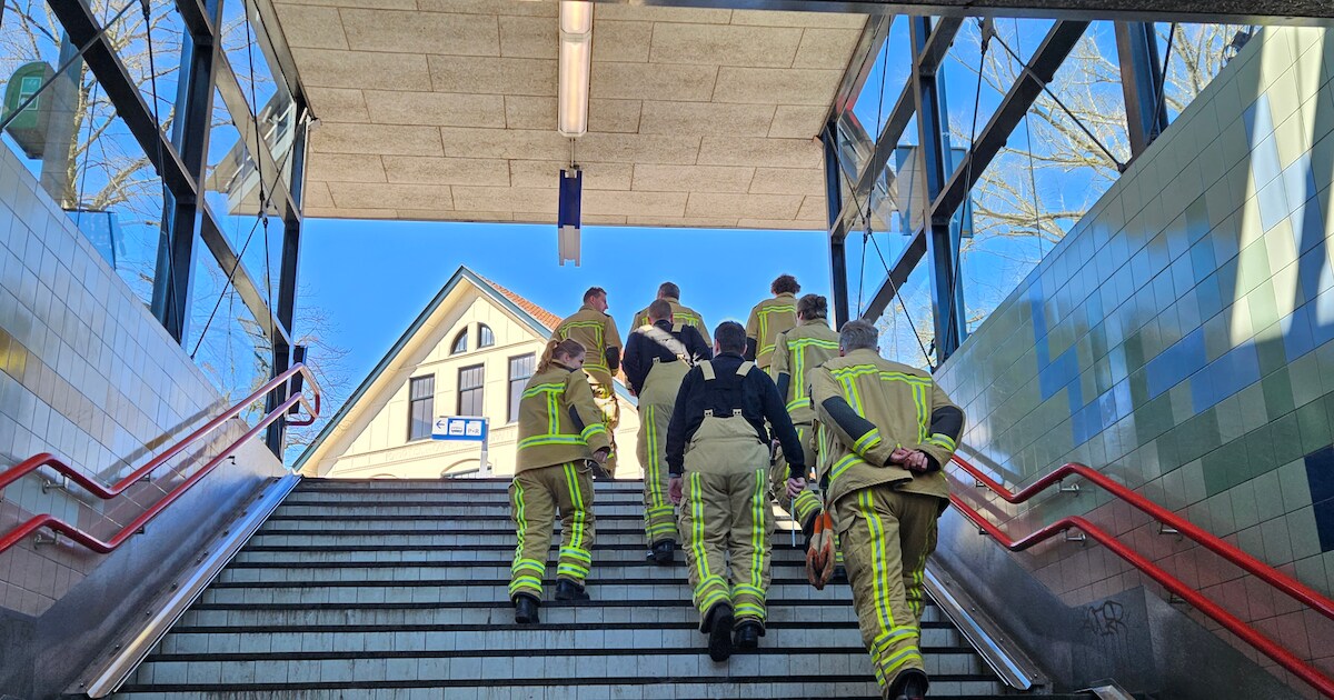 Weer jongeren bevrijd uit ‘horrorlift’ van station Meppel | Meppel | De ...