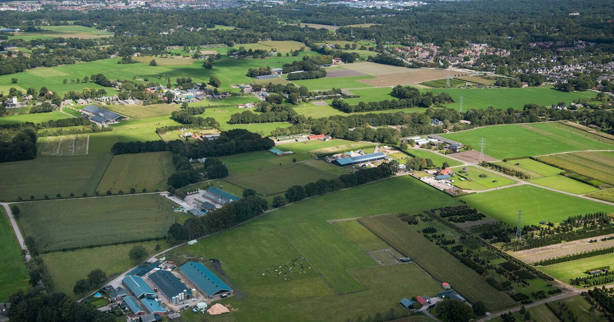 Heerlijk, die rust in het buitengebied van Ermelo, maar ondertussen ...