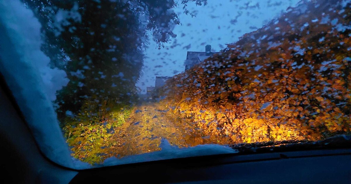 Van koud naar warm: deze week kan het vriezen, maar wordt het ook 15 ...