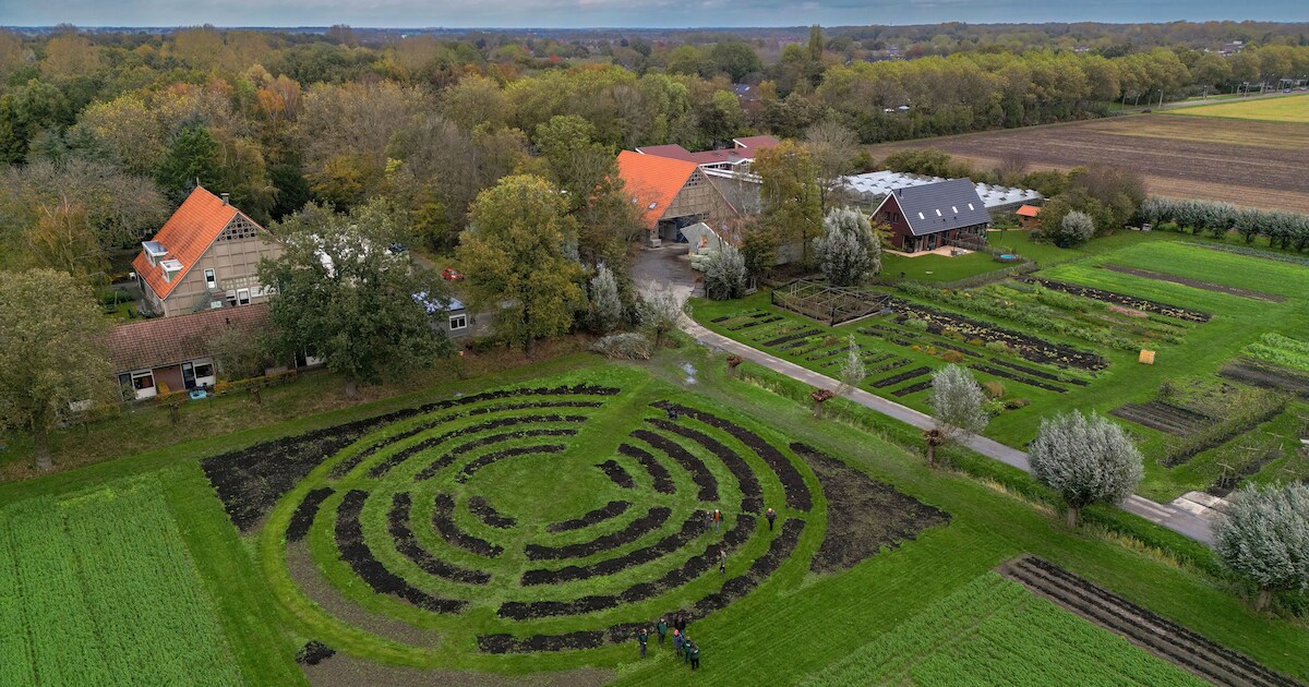 Weg vrij voor huurwoningen en tiny houses aan Pilotenweg in Emmeloord ...