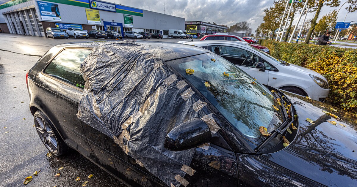 Zeker twaalf (!) auto’s vernield in Zwolle: ruiten aan diggelen, deuren ...
