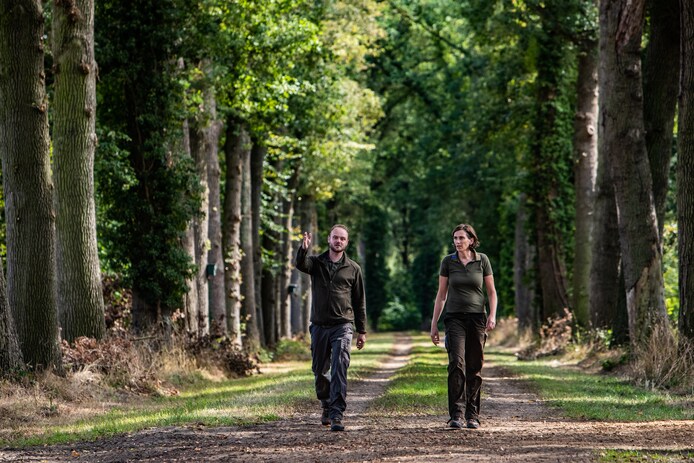 Deze winter gaan op landgoed Dorth meer dan 100 volwassen bomen tegen ...