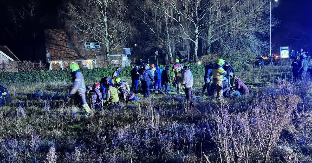 Ernstig ongeluk in Nunspeet: meerdere gewonden in weiland | 112 nieuws ...