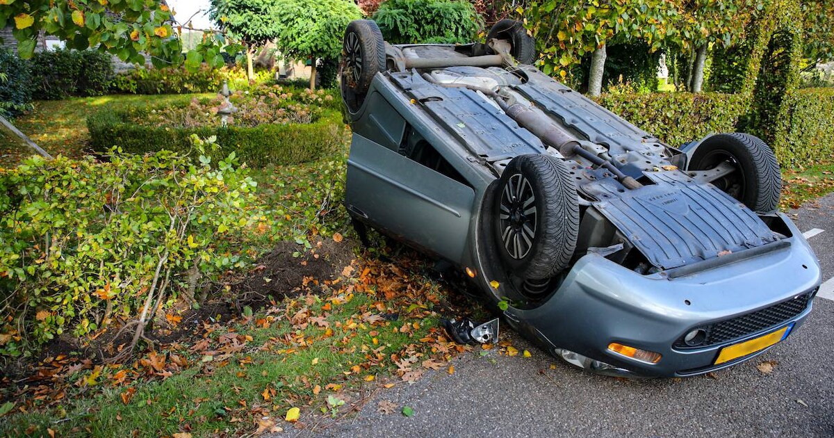 Auto belandt op zijn kop in tuin van tuinspecialist in Wenum-Wiesel ...