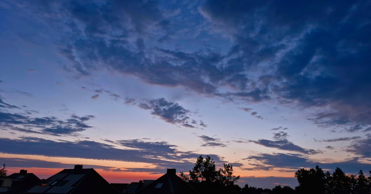 Dit stuurden jullie in: Genieten van de mooie lucht • Dahlia’s kopen in ...