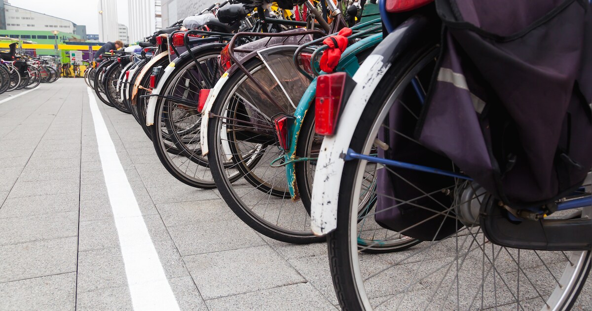 Fietsendief ‘zit nog in zijn slaapfase’, dus is het trekken voor de ...