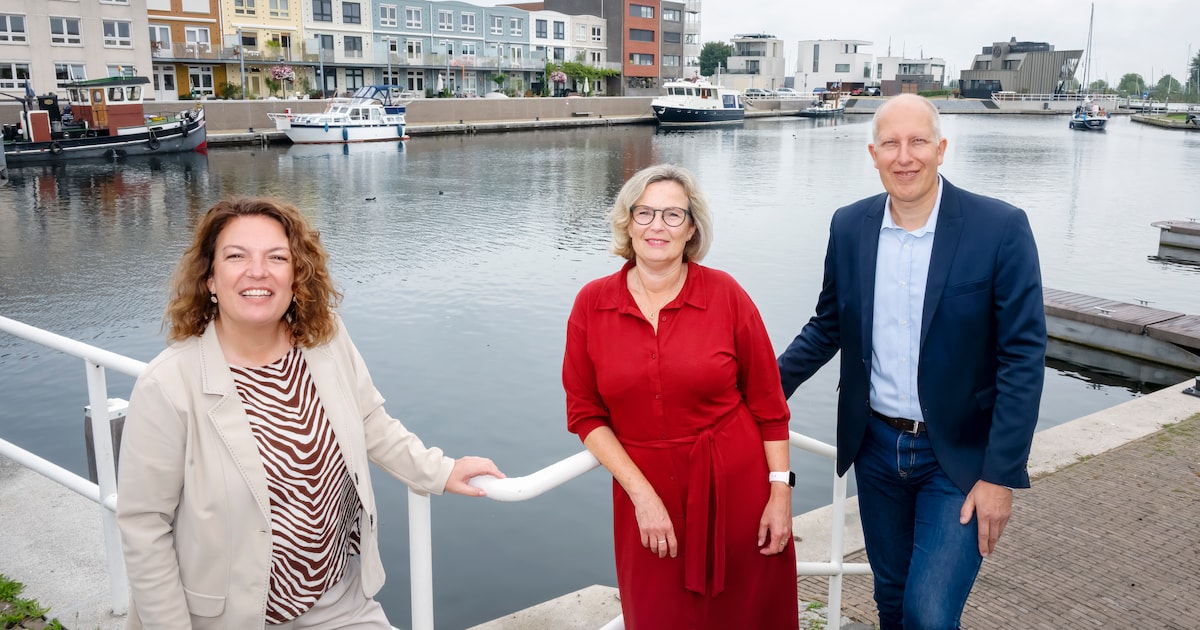 Van chaos naar stabiliteit: tien jaar Meerinzicht in Harderwijk, Ermelo ...