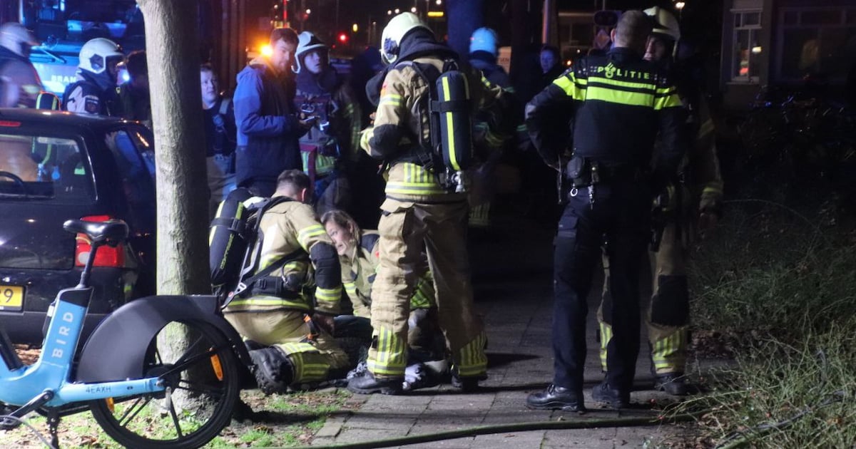 Hond doodgestoken en woningbrand in Zwolle, verwarde bewoonster aangehouden | Zwolle | destentor.nl