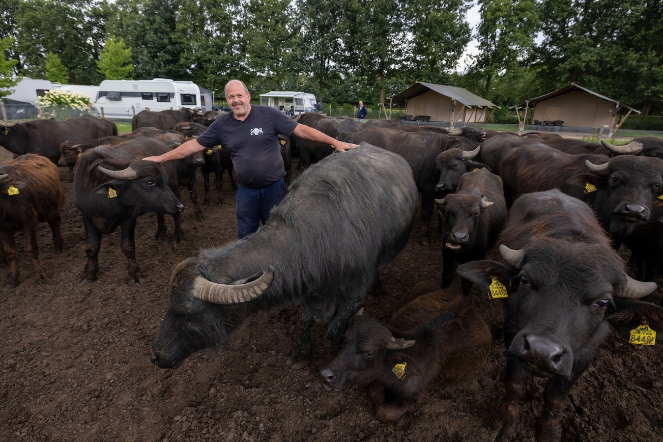 Op deze 18+-camping is het een grote beestenboel: ‘Ik ga er gewoon ...