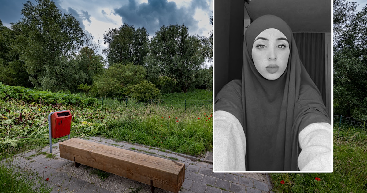 Vader Khaled was een tiran in gezin van vermoorde Ryan (18): ‘Iedereen ...