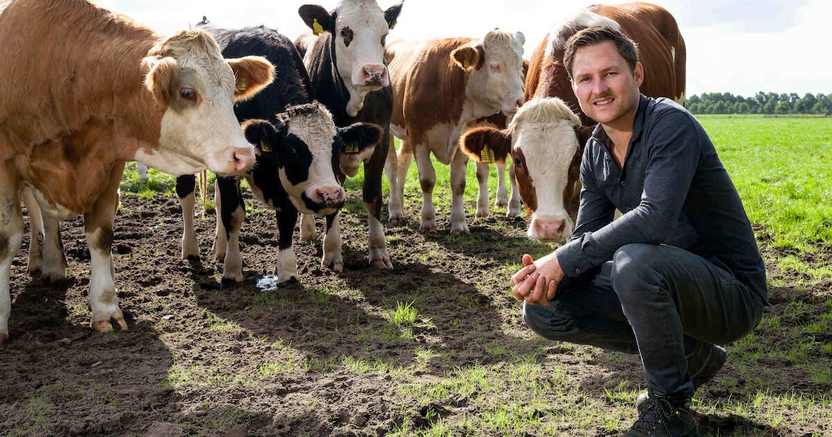 Grasmaaier op vier poten, deze boeren zetten zich in voor de os ...