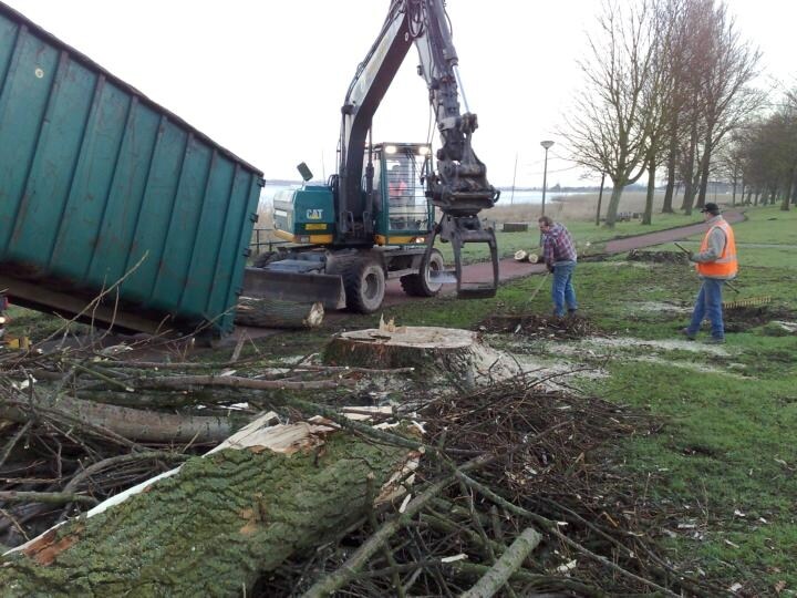 Bomen aan de kant voor breder fietspad | Foto | destentor.nl