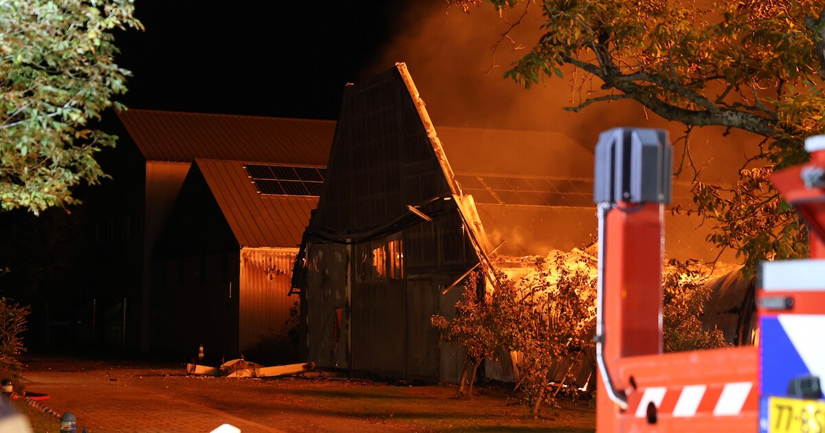 Drie schuren verwoest bij grote brand bij Ens, brandweer probeert een vierde schuur te redden ...