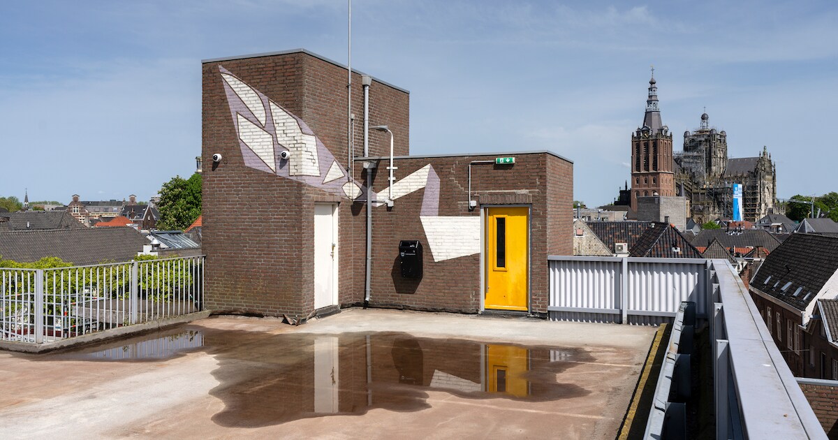 Poepende en plassende bezoekers maken een einde aan daktuin op ...