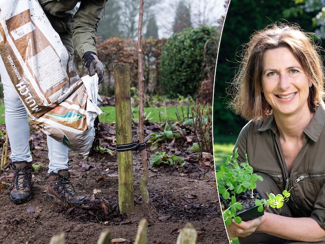 Twee doden en meerdere schoten: dit is wat we tot nu toe weten over het schietincident in ...