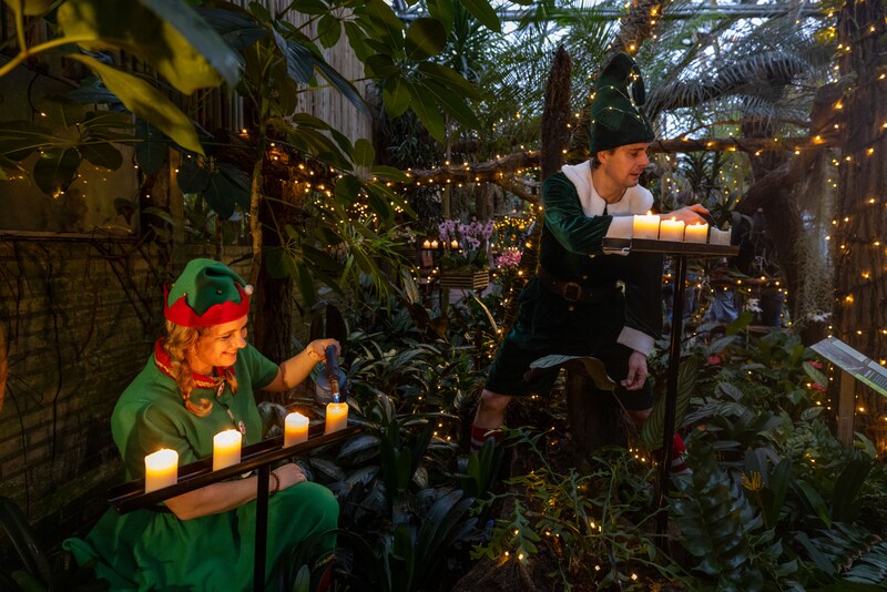 Elfjes steken in Pantropica 3000 kaarsen één voor één aan: ‘Een heidens ...