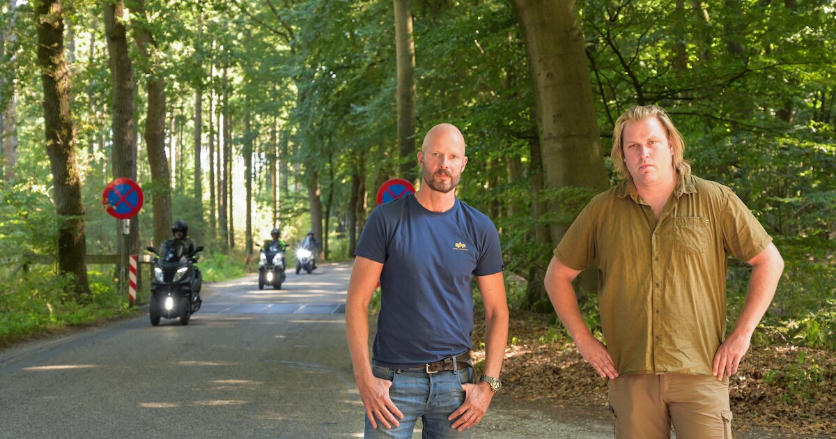 Roep om minder verkeer in ‘het meest bijzondere bos van Nederland’: ‘Te ...