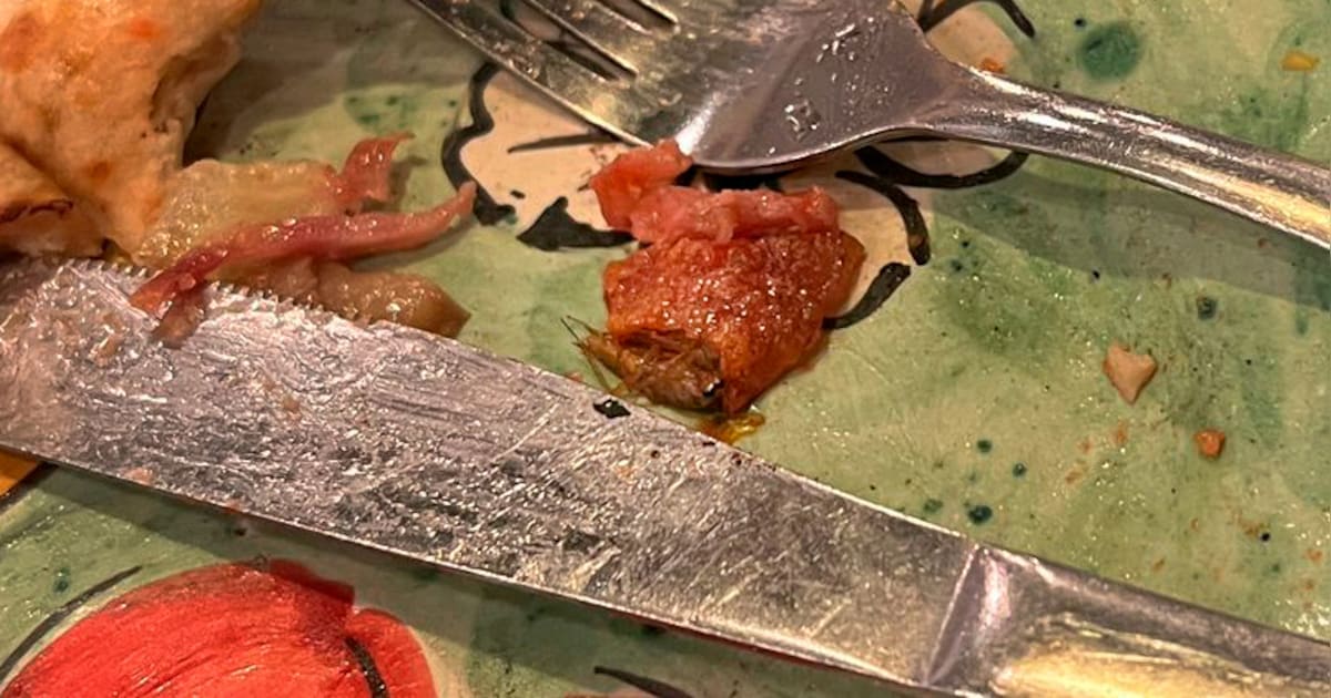 Vriendinnen vinden kakkerlak in pizza van Amsterdams restaurant: ‘Er ...
