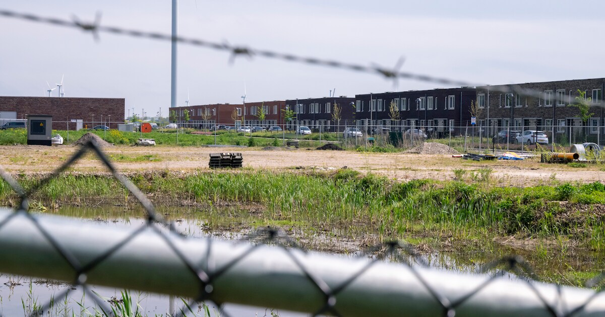 Zeewolde zoekt visie voor tweede kern Oosterwold: ‘Het is een ...