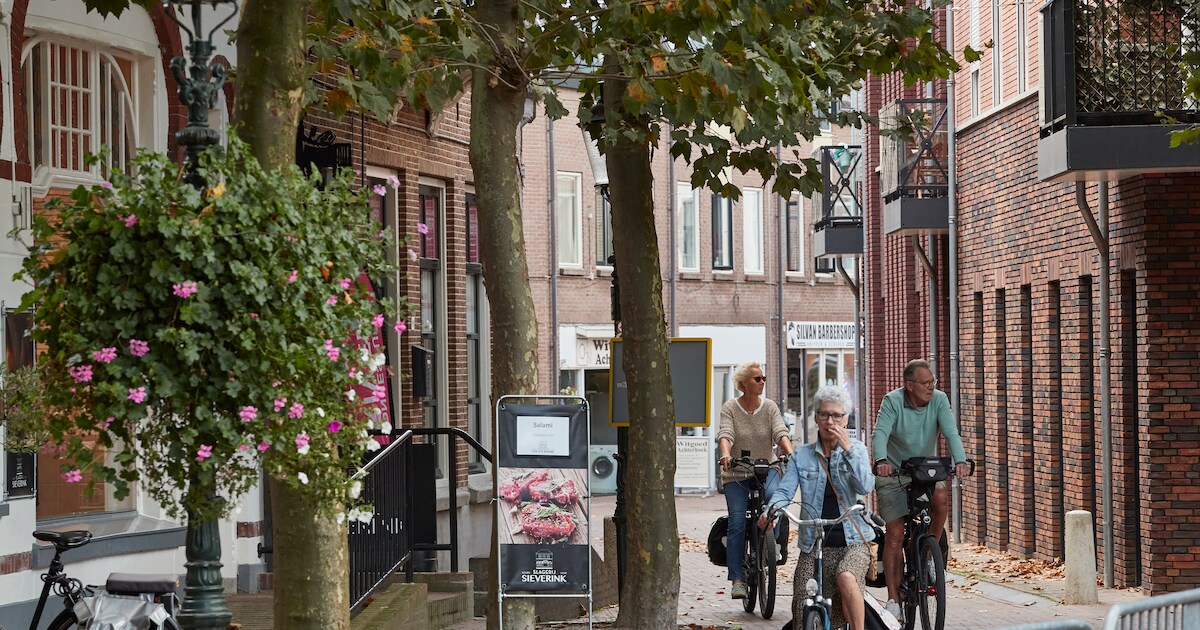 Gezonde platanen op de Markt in Lochem mogen tóch blijven staan ...