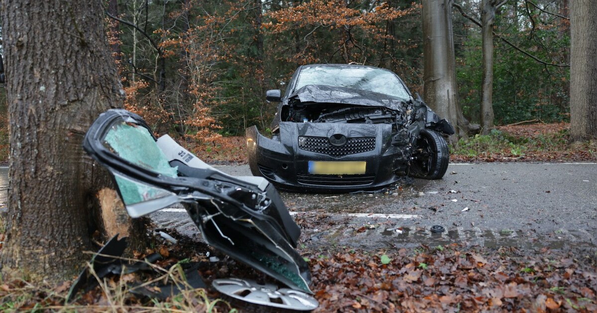 Deur uit auto geknipt na harde klap tegen boom bij Dalfsen | 112 nieuws Dalfsen | destentor.nl