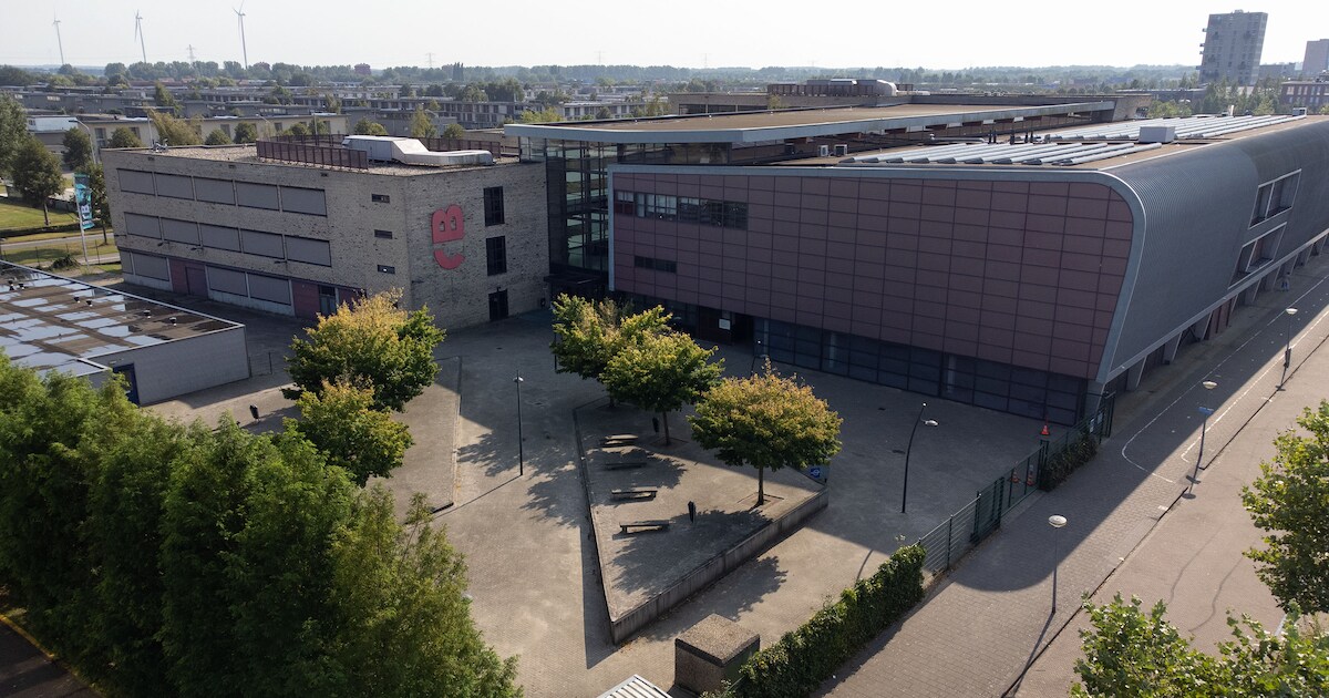 Goed nieuws voor Jhamy (14) die na vechtpartij van school moest: ‘Rol ...