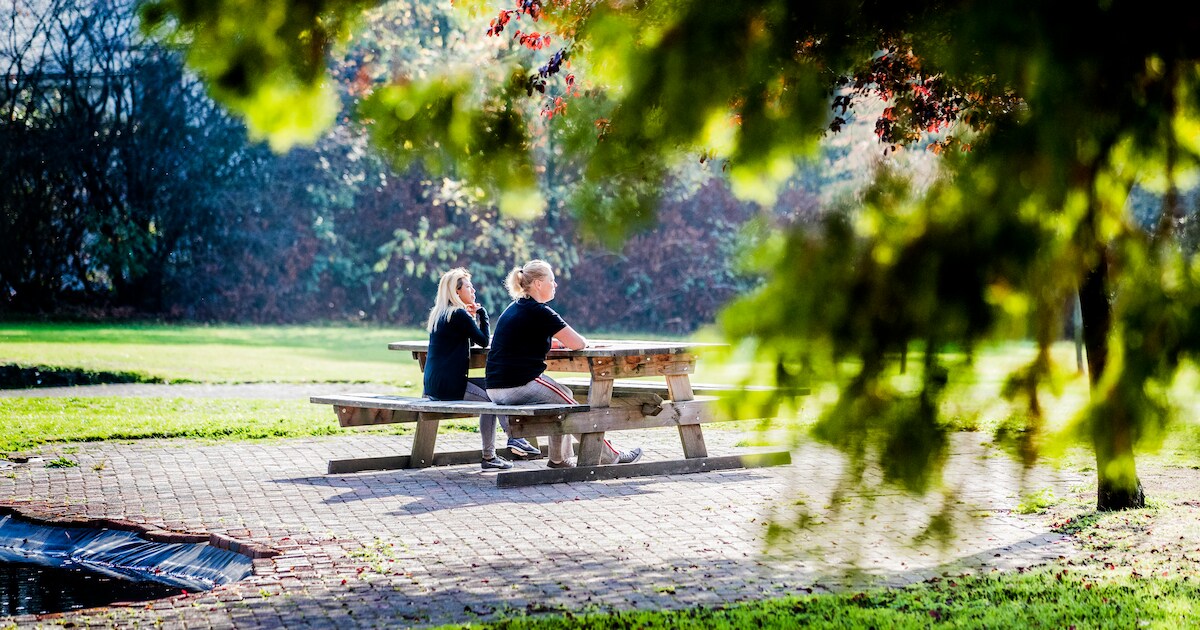 De Hoenderloo Groep doet ‘stilzitstraf’ in de ban | Apeldoorn | De ...