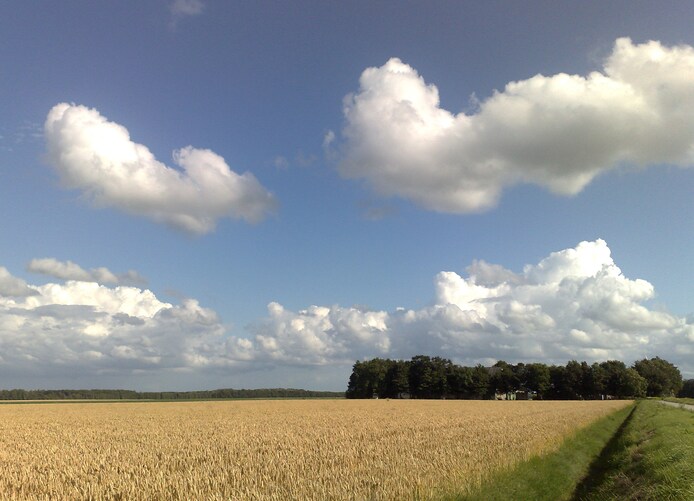 Boer in Ens is bang voor natte akkers door nieuwbouw, maar wat zegt hoogste rechter ...