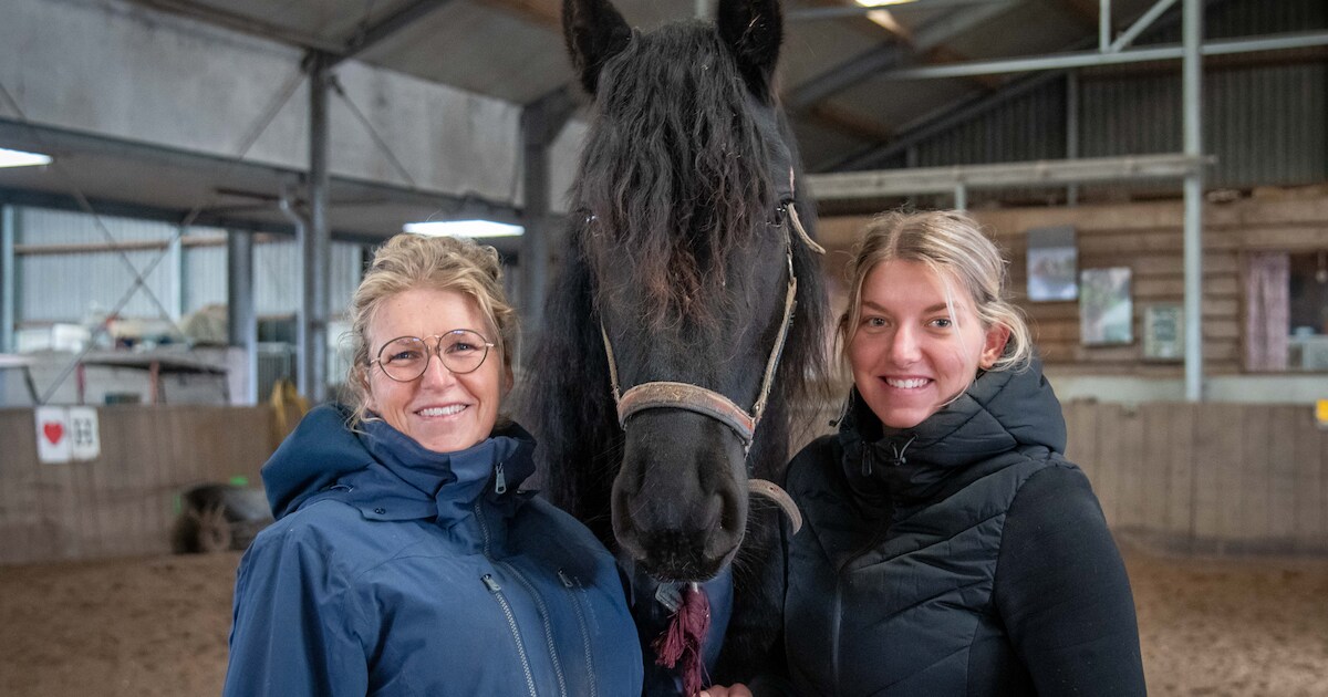 Paardenliefde blijft onverminderd, maar Stal Ermelo zegt vaarwel ...