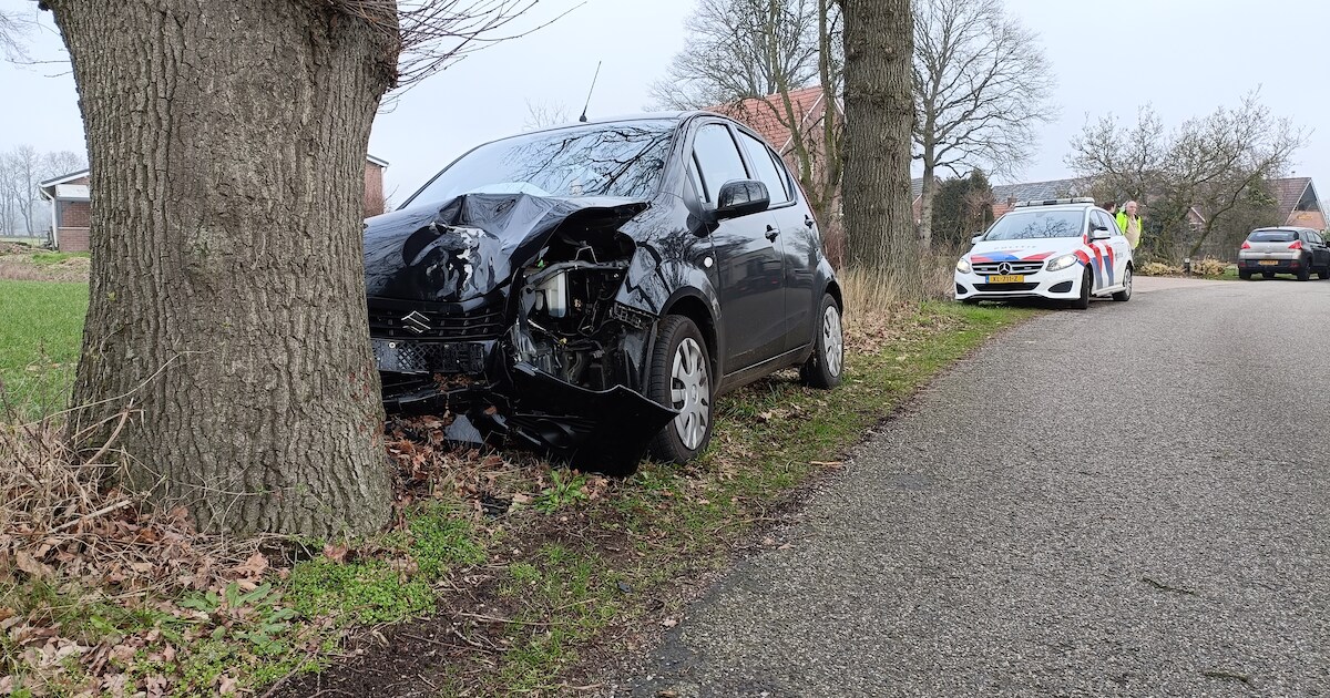 Automobiliste moet uitwijken voor haas en botst tegen boom bij Eibergen | Berkelland | destentor.nl