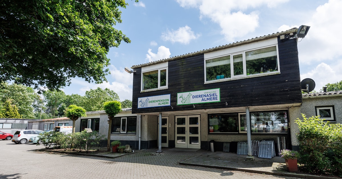 Dierenbescherming neemt werk van ‘teleurgesteld’ asiel in Almere over ...