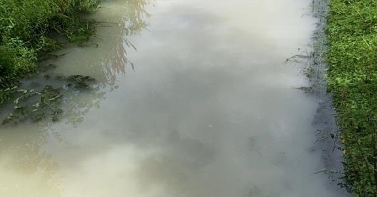 Wit water in Genemuiden, mysterie dagen later opgelost: dit was de ...