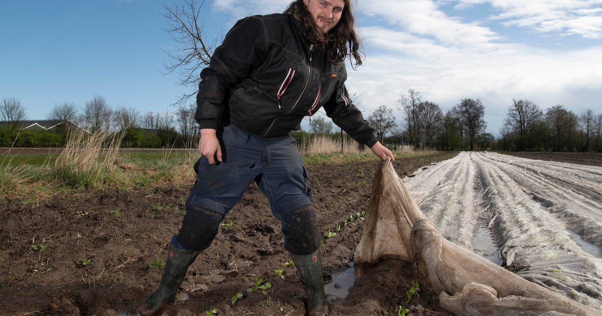 Biologische boer ziet ‘duurzaam tankstation’ in Brummen helemaal niet ...