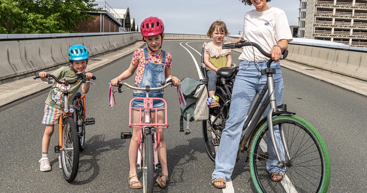 Massale belangstelling voor bijzonder kijkje bij busbrug Zwolle: ‘Ik ...