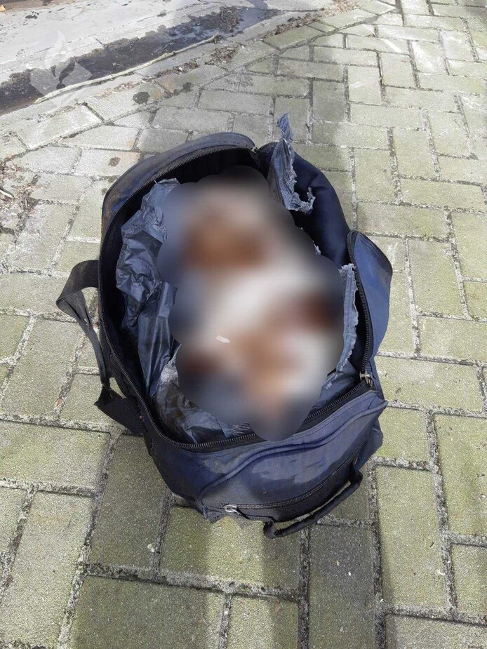 Politie vindt dode hond in sporttas in gracht vlakbij Giethoorn ...