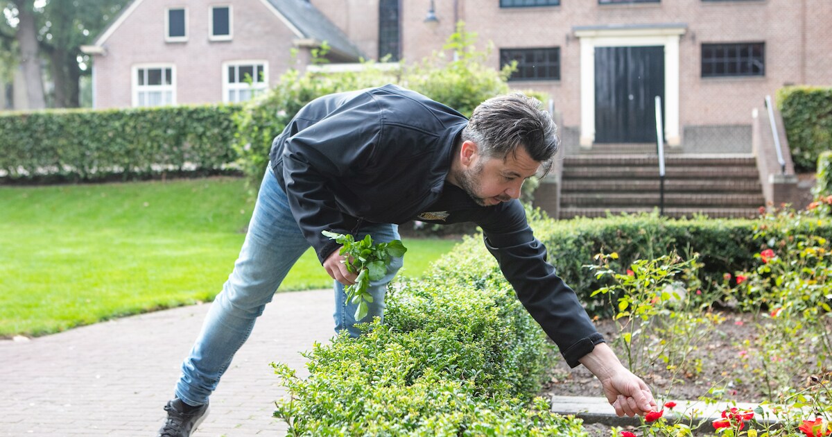 Eerst voedsel zoeken en dan koken in Proefkamer van Daniel Poolman in ...