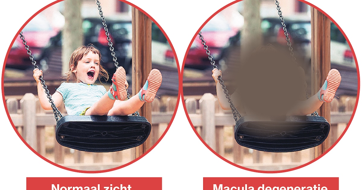 Inloop XL bij Koninklijke Visio over de oogaandoening maculadegeneratie ...