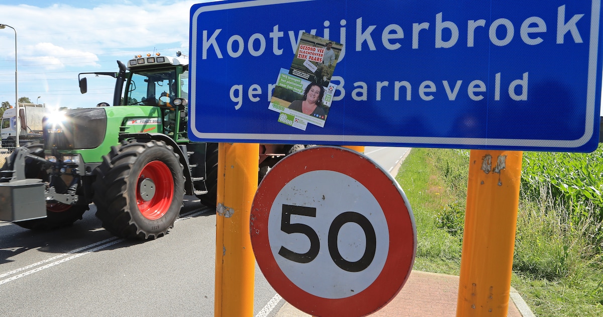 Daan (22) werd ‘op adrenaline’ meegesleept tijdens Veluws boerenprotest ...