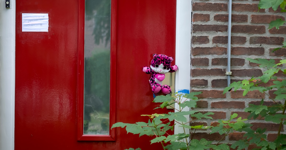 Toestand Vlaardings pleegmeisje verbetert: ‘Ze toont ongekende veerkracht’ | Binnenland | De ...